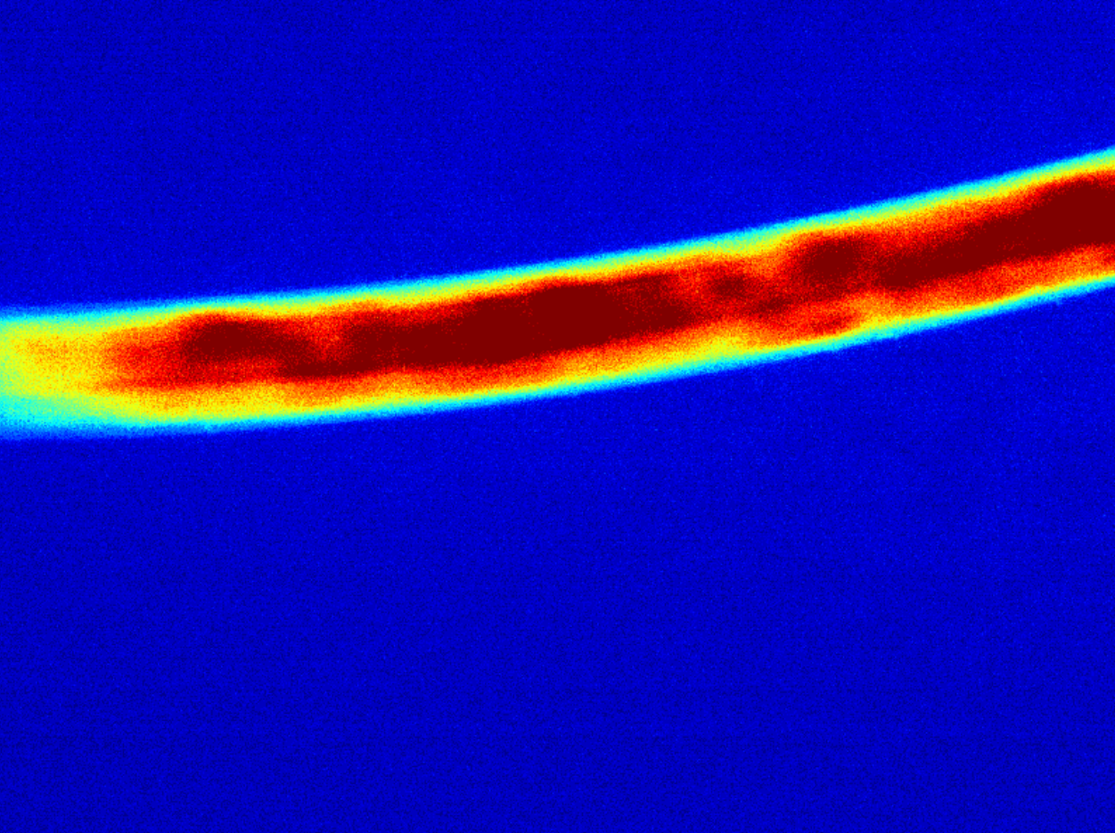 Blur Product Development - Blur